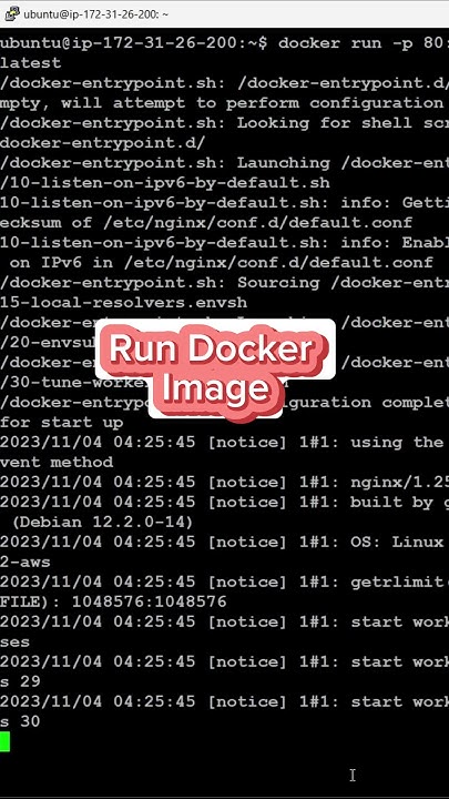 Basic Docker Commands | Beginners | Docker | BashMOD - YouTube