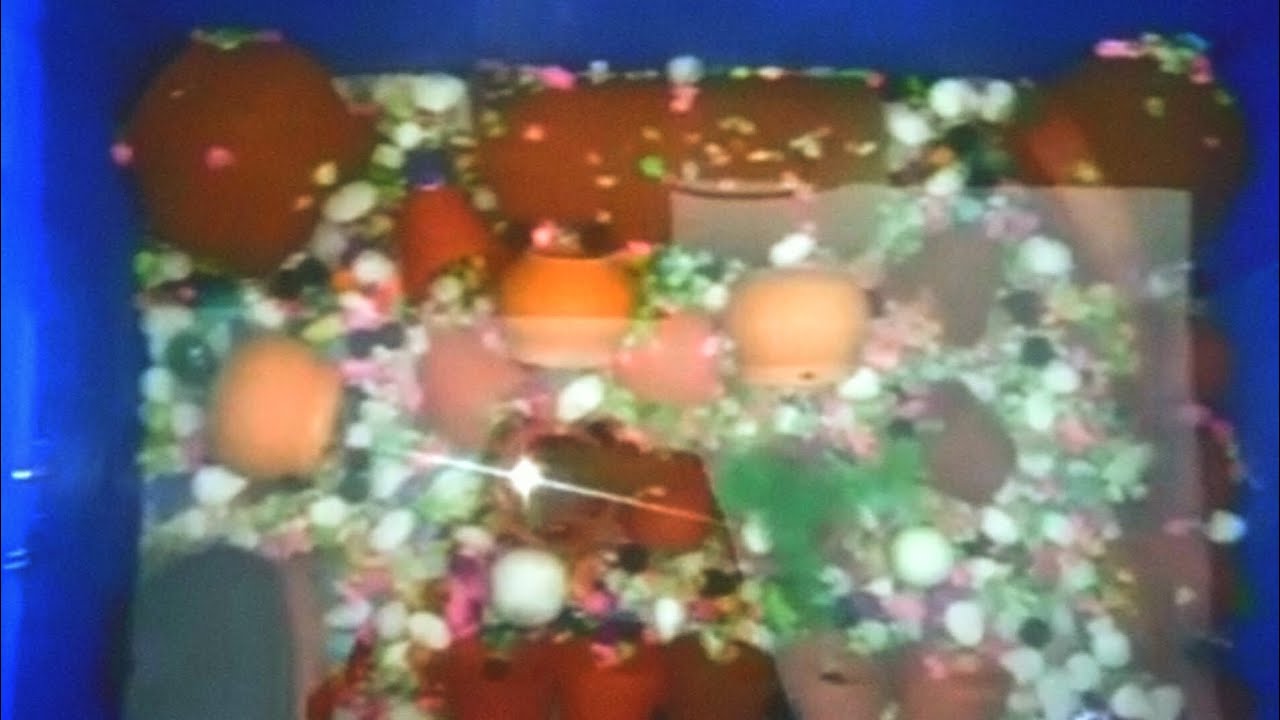 DIY MOLLY FISH SET UP - YouTube