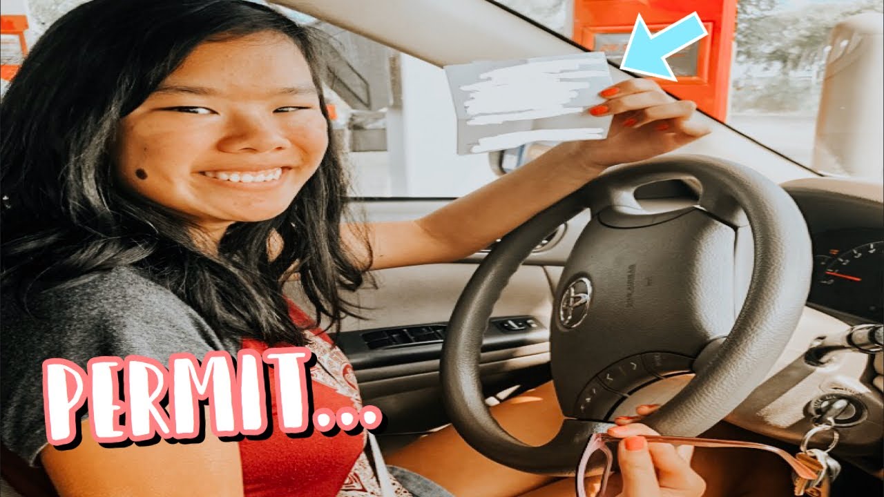 Getting My Permit YouTube getting-my-permit-youtube