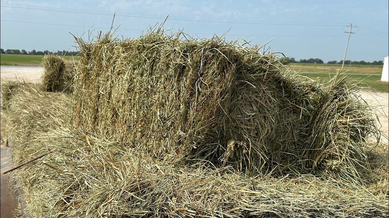 I started a hay business from scratch… pt1 - YouTube