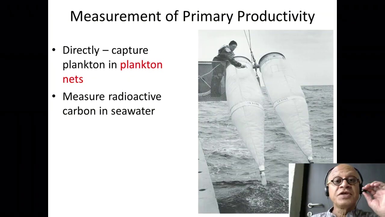 2 Measuring Primary Productivity - YouTube