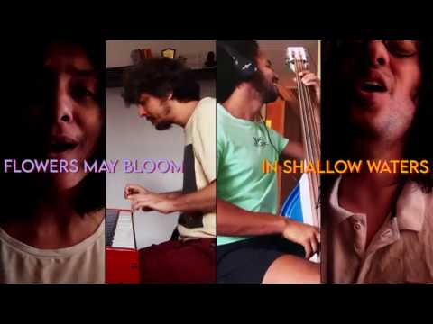 Shallow Water (Music Video + Lyrics) - YouTube