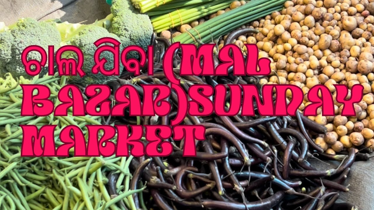 West Bengal mal bazaar Sunday market ରେ ଆମେ କଣ ଦେଖିଲୁ😳😳#odia vlog#odia #vlogger #odisha - YouTube