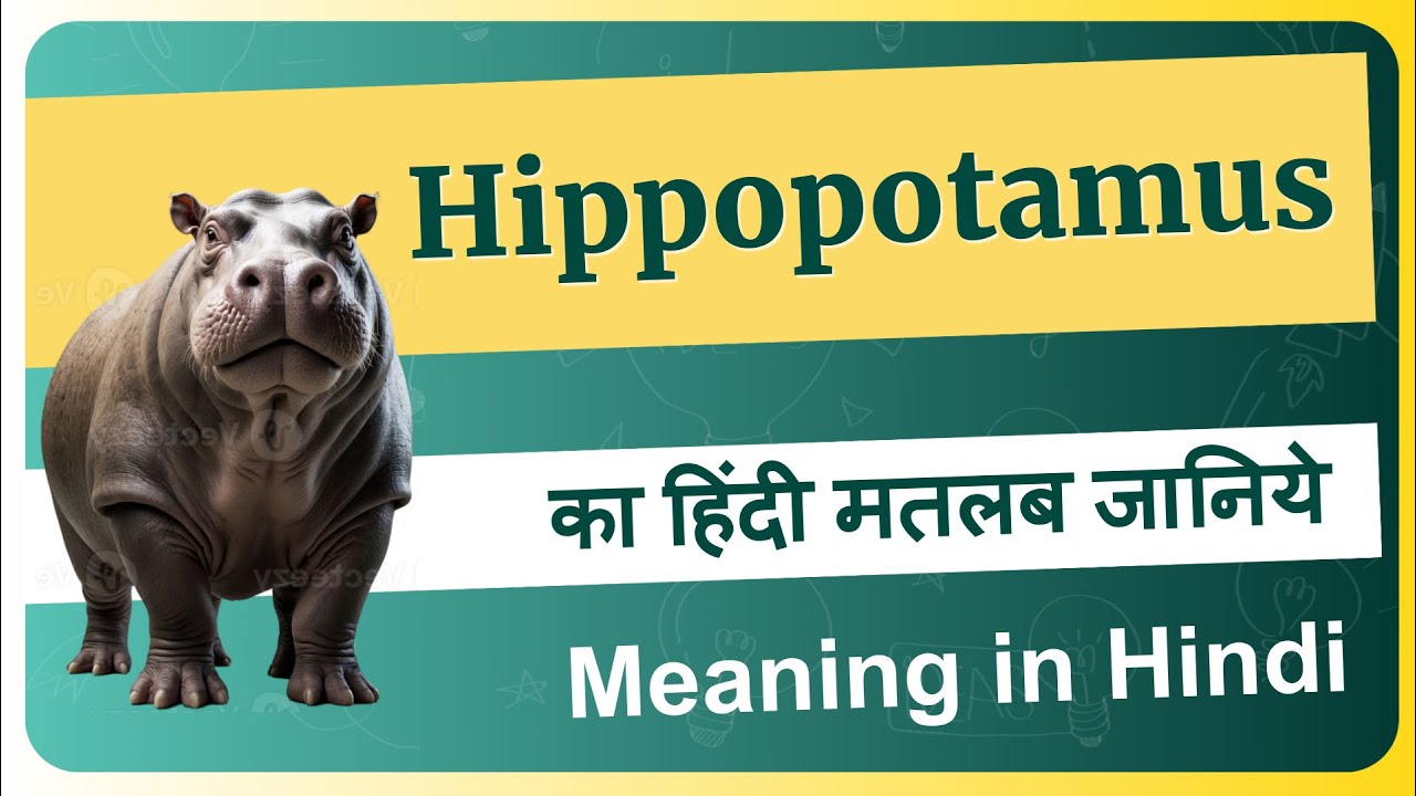 Hippopotamus Meaning In Hindi Hippopotamus Ka Matlab Kya Hota Hai hippopotamus-meaning-in-hindi-hippopotamus-ka-matlab-kya-hota-hai