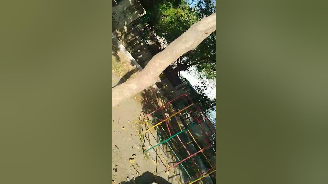 12 March 2025 - YouTube