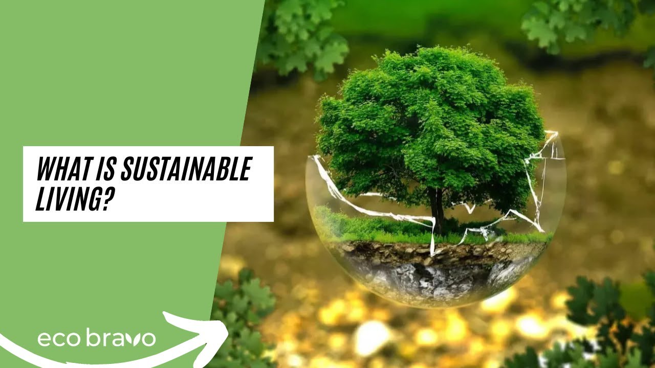 Towards Sustainable Living: Empowering Change for a Better Tomorrow ...