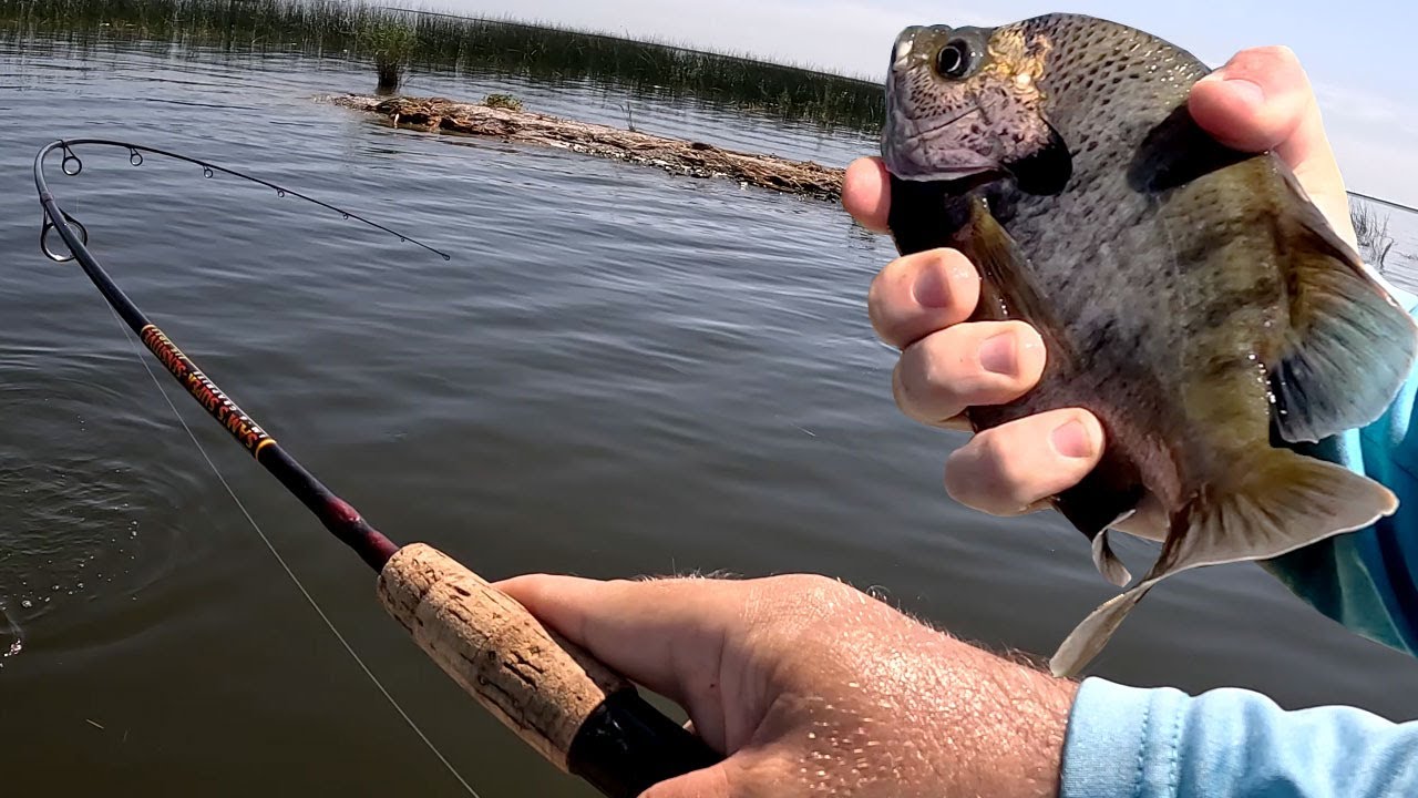 Fishing SLAB BLUEGILL on Lake Okeechobee - YouTube
