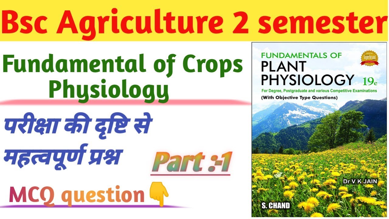 Bsc Ag 2 Semester👉 Fundamental Of Crop Physiology Youtube