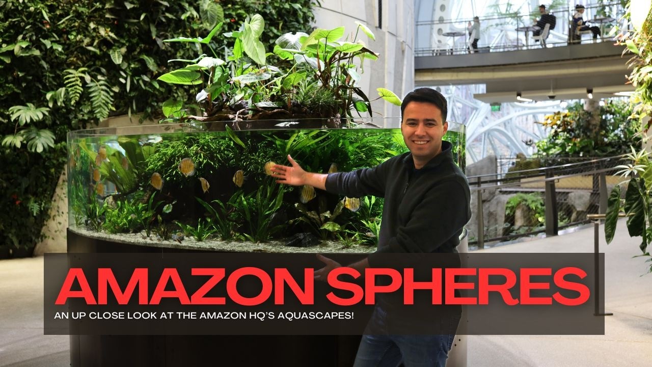 INSIDE AMAZON'S EXCLUSIVE AQUARIUM! - YouTube