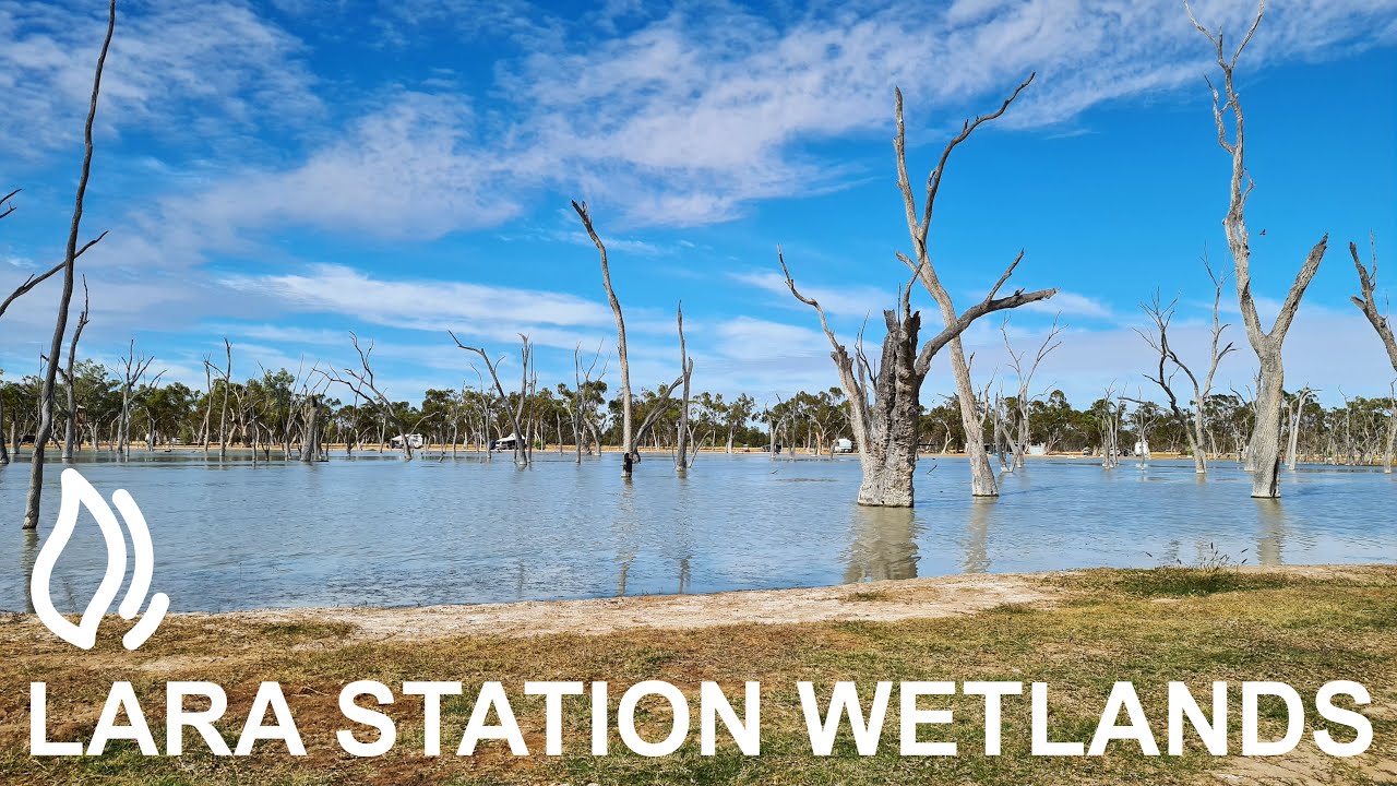 Lara Station Wetlands - Barcaldine, Queensland - YouTube