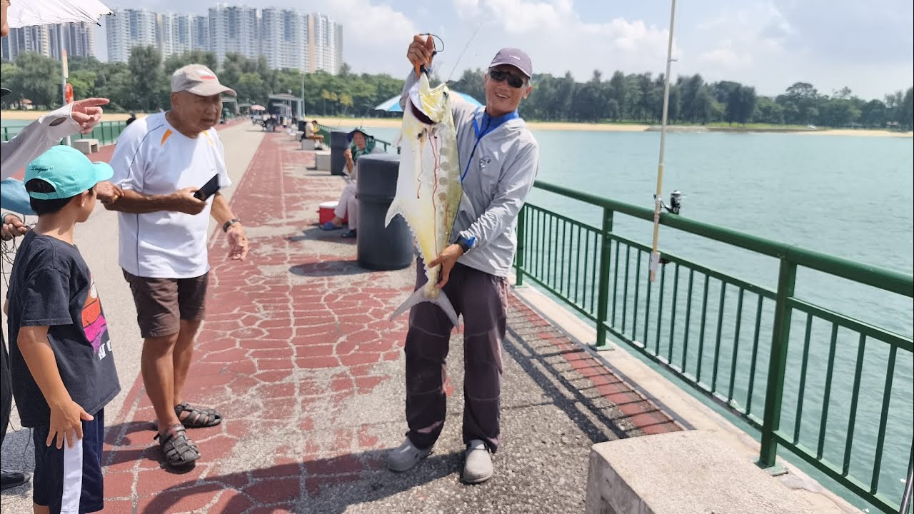 Bedok Jetty, Epic Battle, 7.1kg Queenfish. Cable Car Rig - YouTube