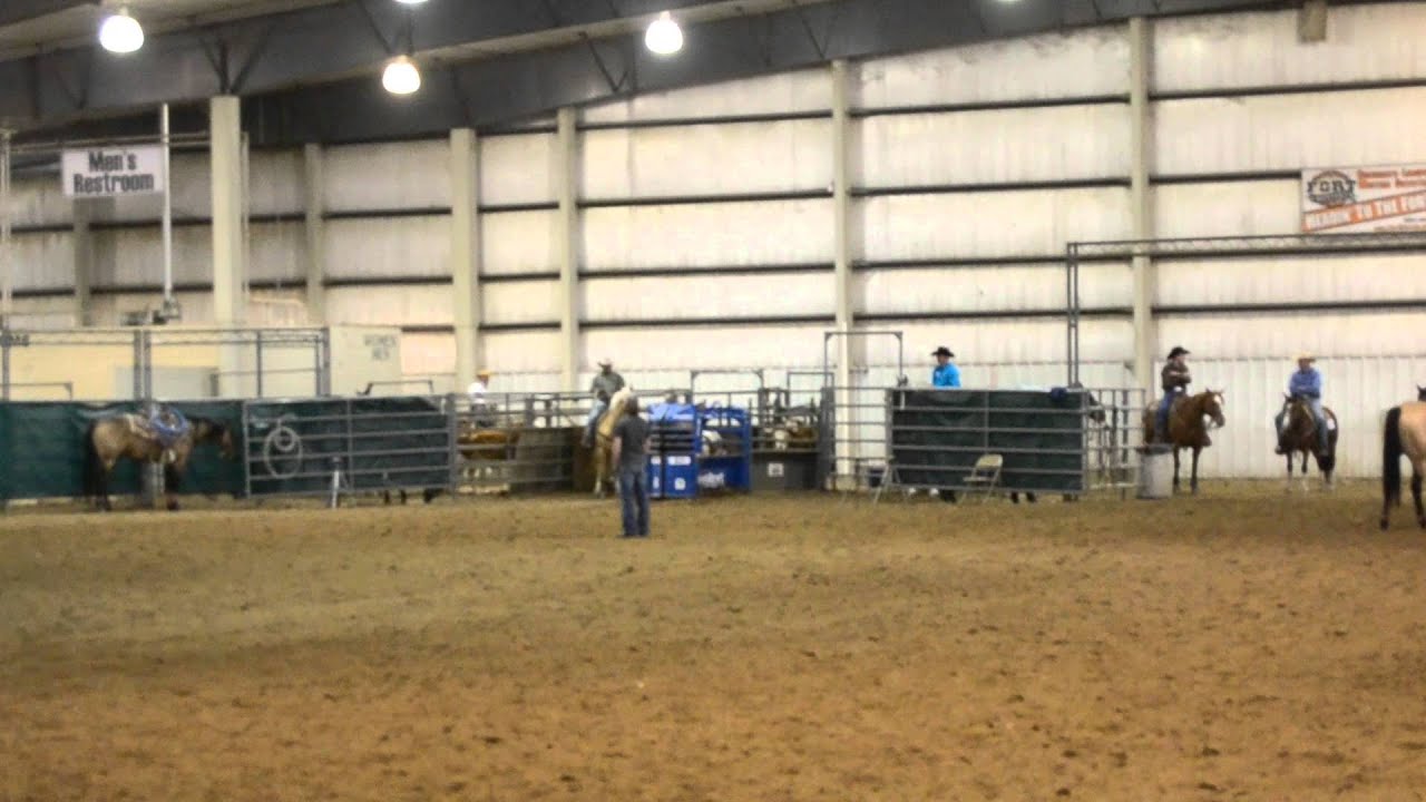 Playgun Watcher Lincoln AQHA Heading - YouTube
