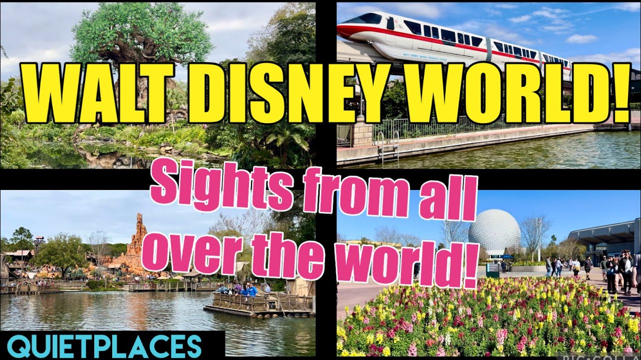 WALT DISNEY WORLD! Favorite Sights from Disney World Parks & Resorts ...