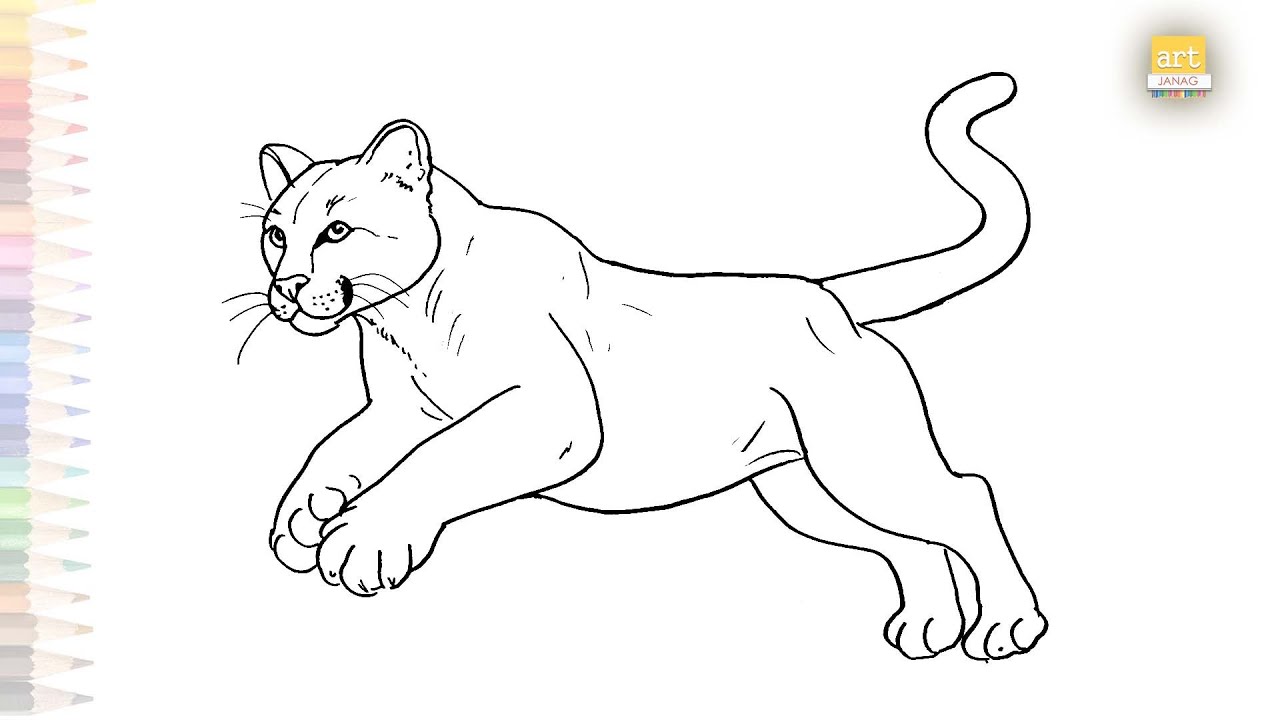 Cougar running drawing easy | Wild animal sketches | How to draw A Cougar step by step | # ...