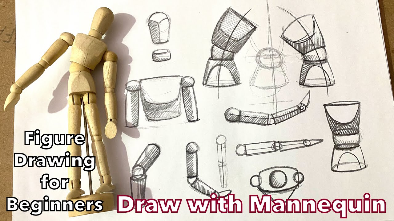 Mannequin Figure Drawing for Beginners | Tutorial | #figuredrawing # ...
