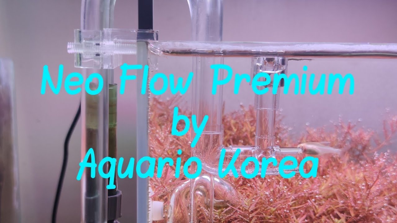 Unboxing Neo Flow Premium by Aquario - YouTube