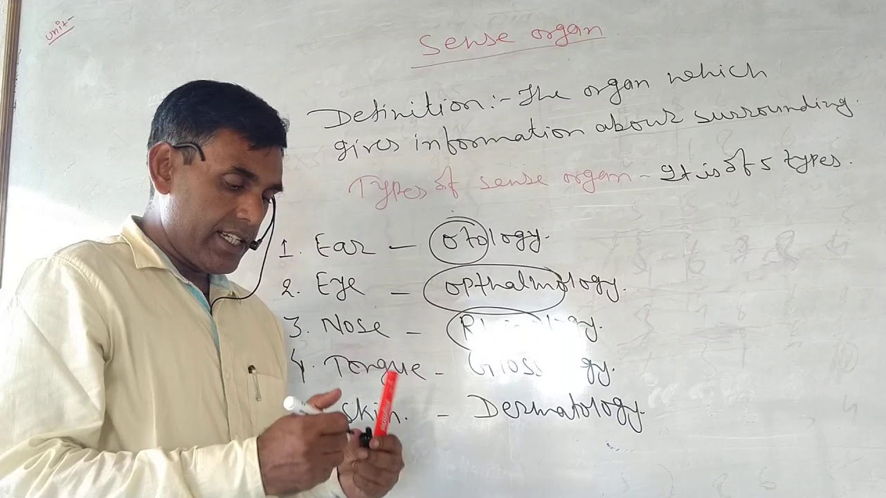 Sense Organ zoology In Hindi YouTube sense-organ-zoology-in-hindi-youtube