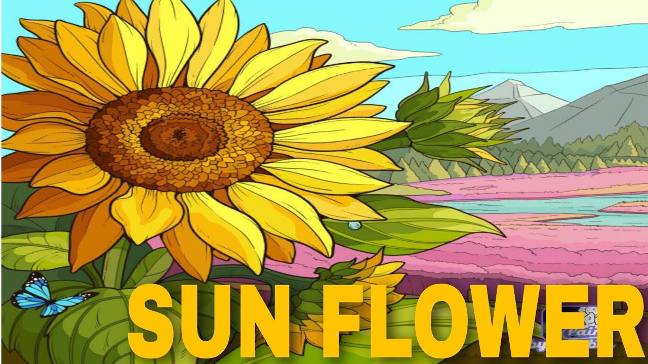 Paint by Number / SUN FLOWER - YouTube