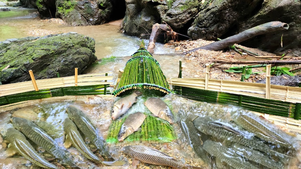 Full video of ancient fishing methods of mountain girl. Catch many big ...