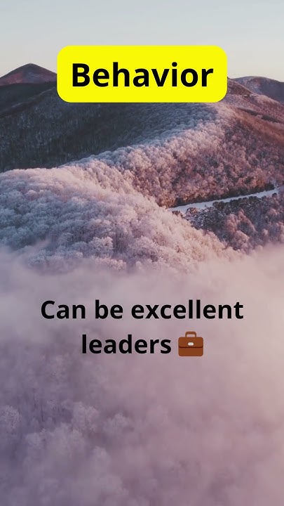 Why Introverts Make the Best Leaders! 💼 - YouTube