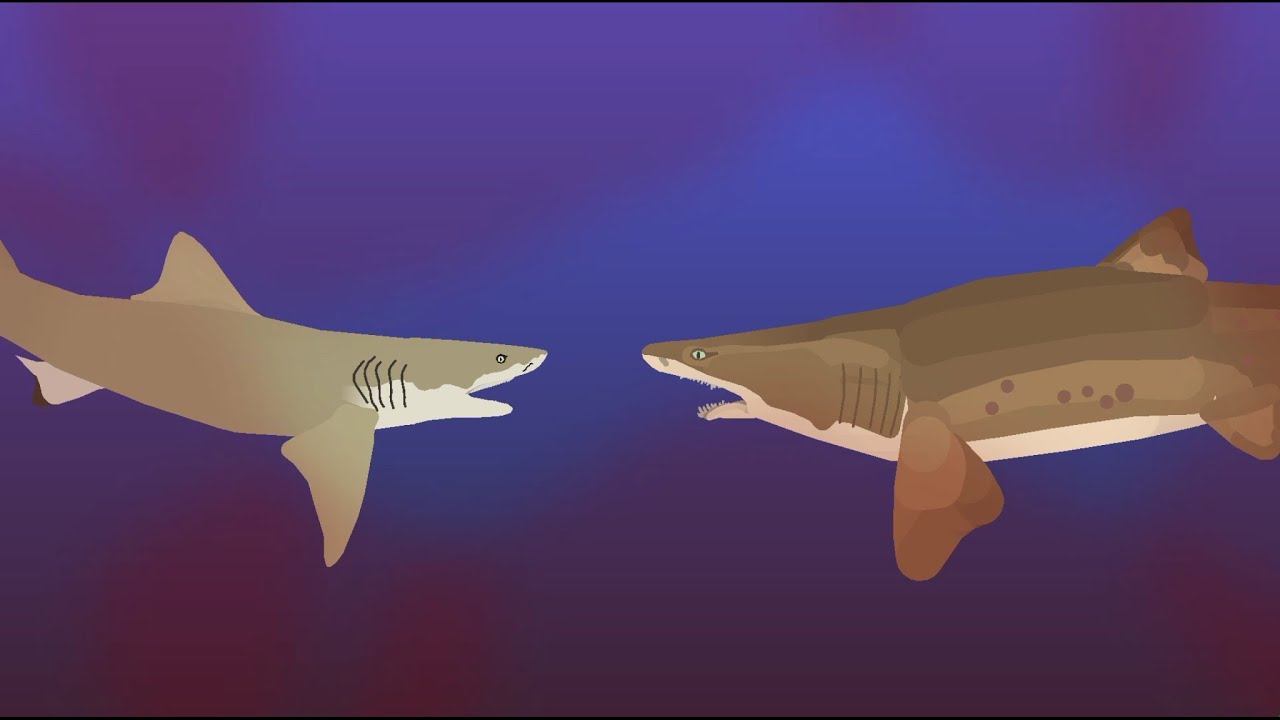 lemon shark vs sand tiger shark-stick nodes animation - YouTube