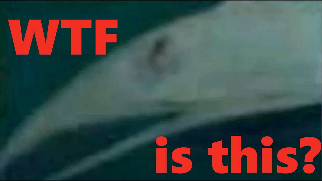 Have you seen this fish? (Europan Hookmouth explained) - YouTube