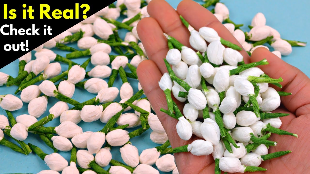 Make this beautiful Jasmine flower with just tissue paper | DIY Flower ...