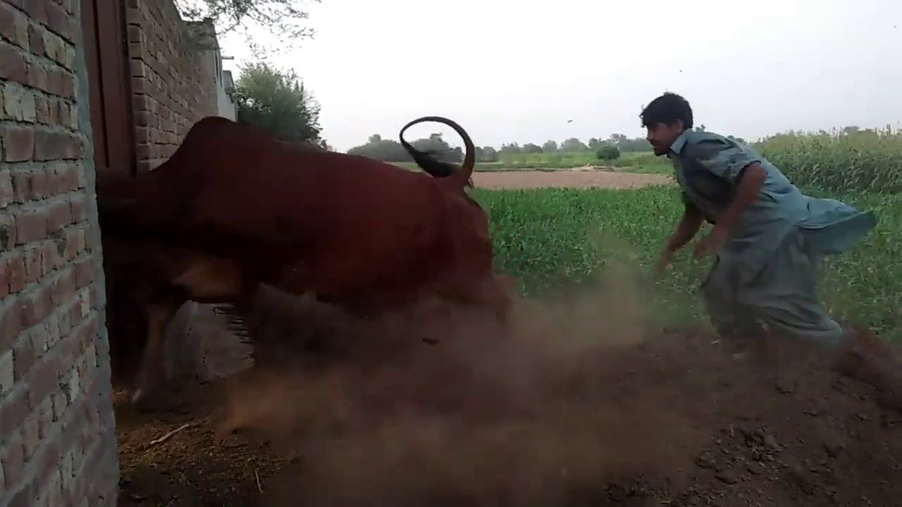 vellamunda - YouTube