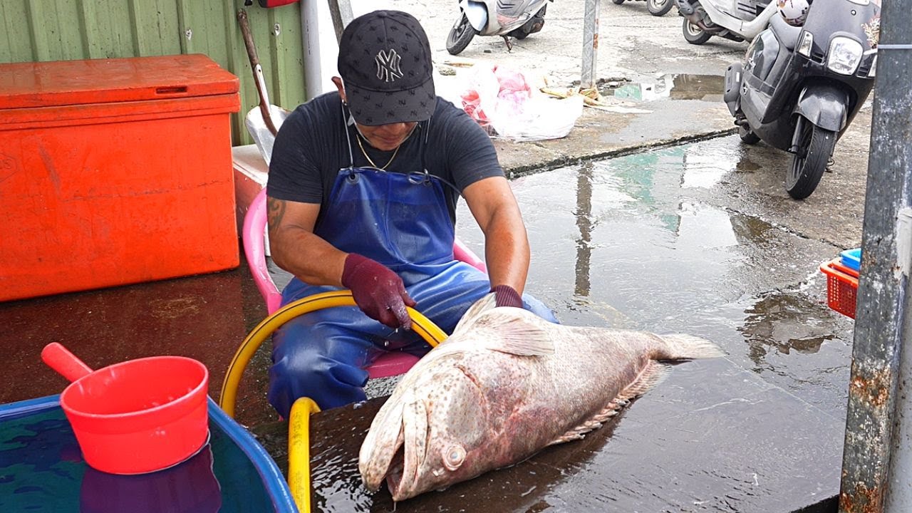 Super Delicious Giant Grouper Quick Processing - Taiwan Fish Market ...