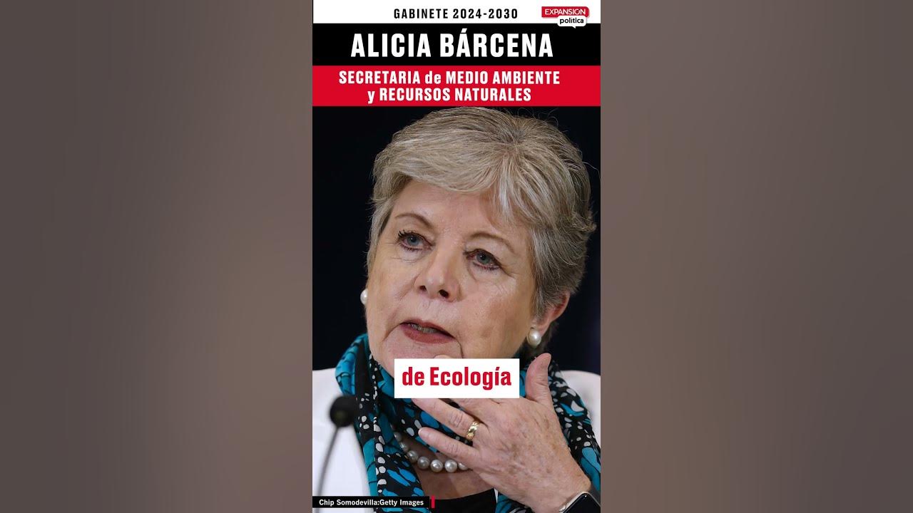 ALICIA BÁRCENA: perfil y misión de la próxima secretaria de Medio Ambiente y Recursos Naturales ...