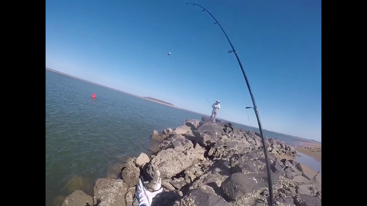 Rock fishing Mackay {Ep-1} - YouTube