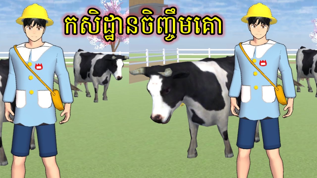 កសិដ្ឋានចិញ្ចឹមគោយកទឹកដោះ Kirisu Milk Farm - YouTube