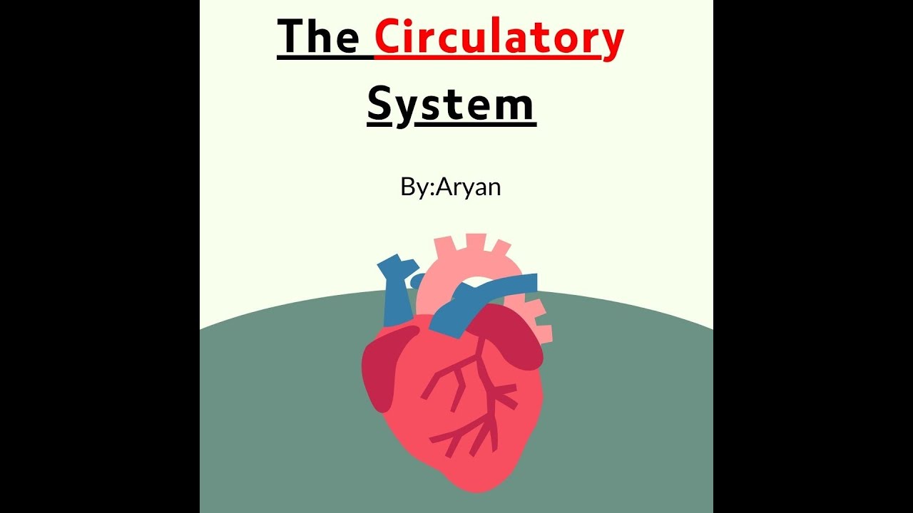 Cardiovascular system-circulatory system - YouTube