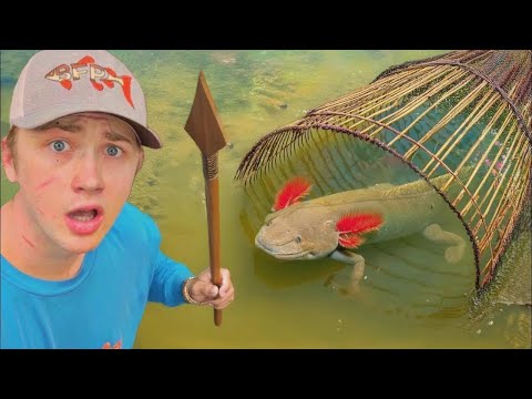 I Caught Axolotls in a Primitive Fish Trap!