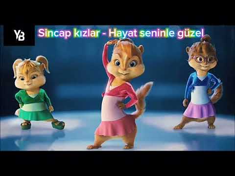 Sincap kızlar - Hayat seninle güzel