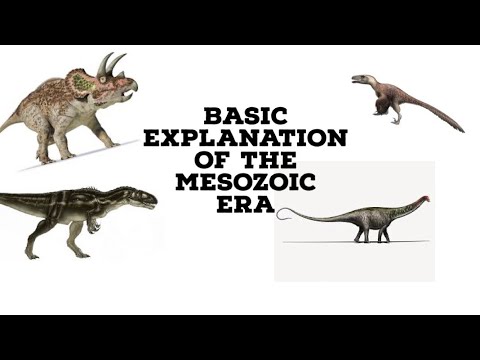 Basic Explanation of the Mesozoic Era - YouTube