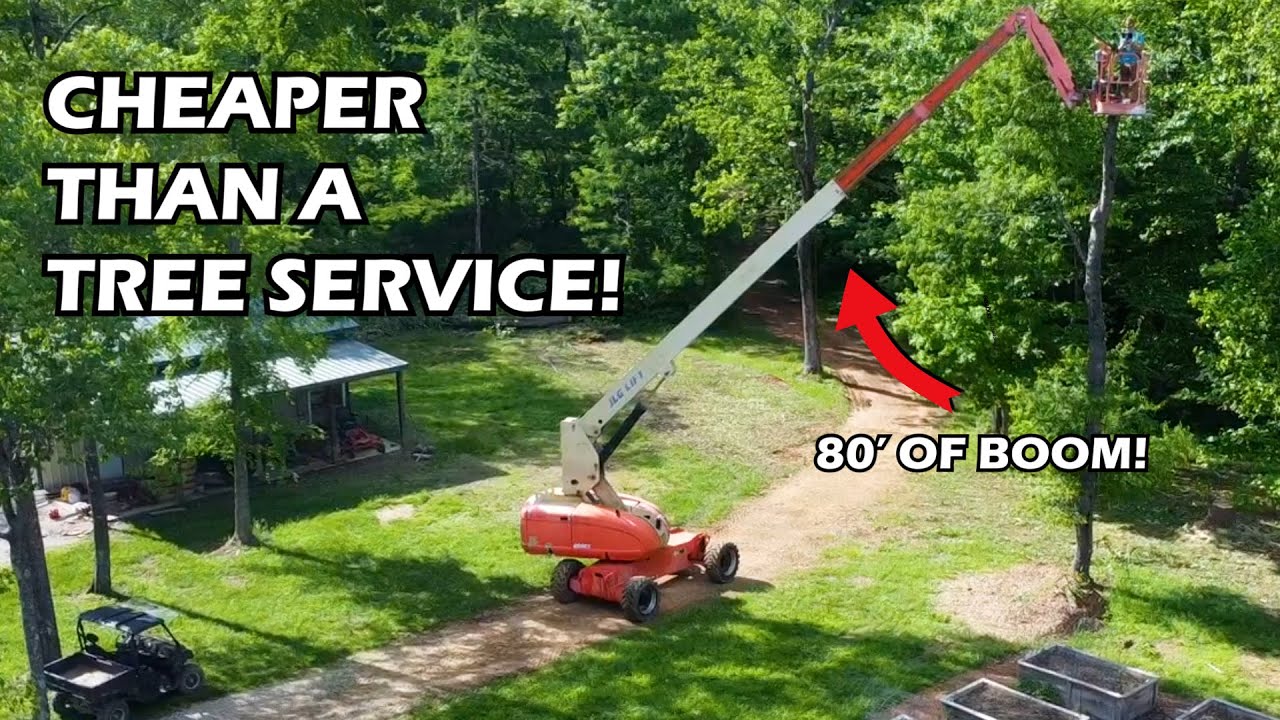 Homeowner Rents Massive Lift for DIY Tree Removal - YouTube