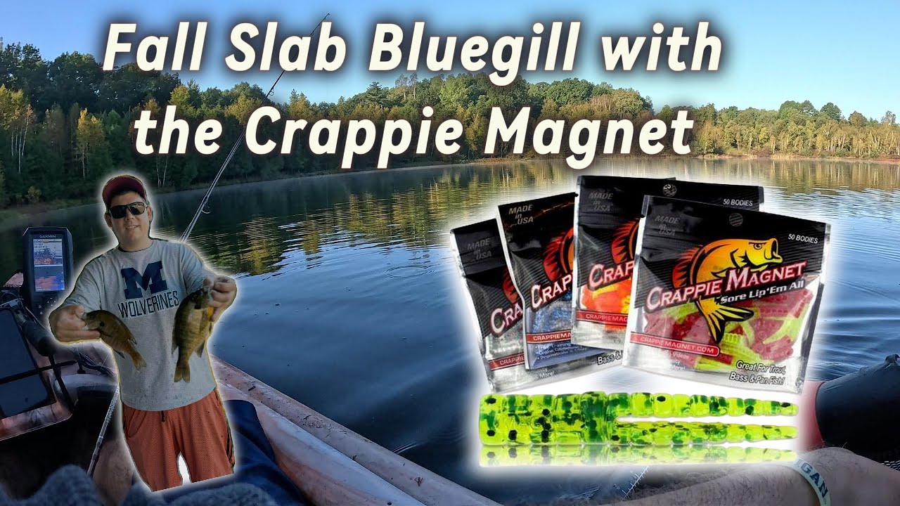 Fall Slab Bluegill with the Crappie Magnet - YouTube