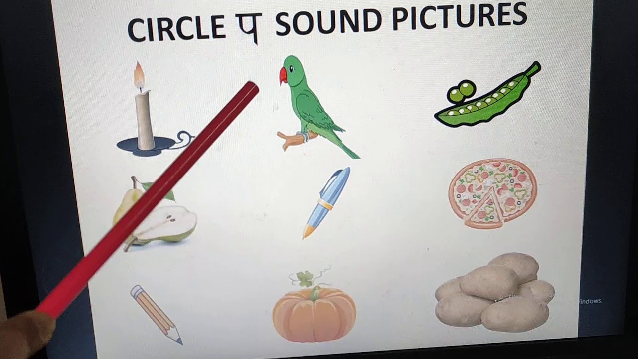 VIDEO - CIRCLE P SOUND PICTURES - YouTube