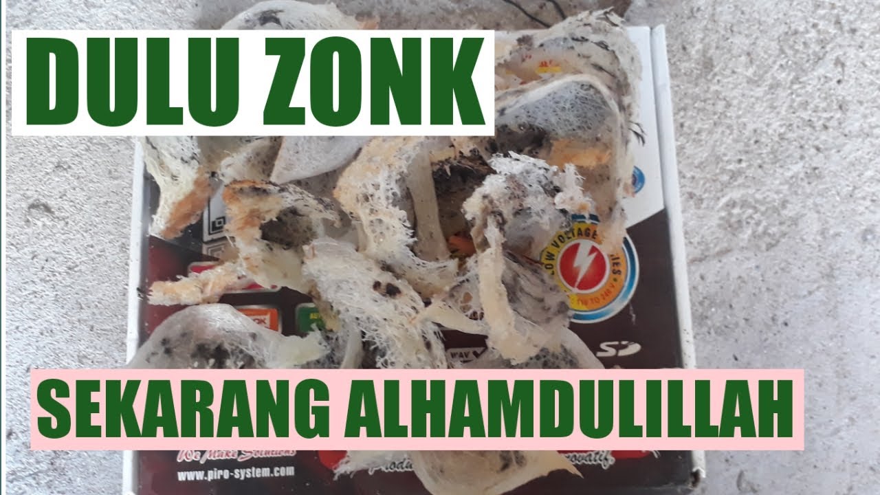 beginilah BW bermanuver di void zigzag di saat pulang malam. - YouTube