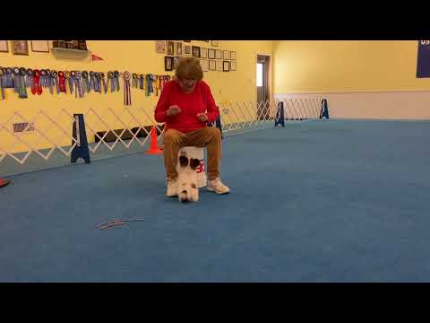 Patrick doing bucket work - YouTube