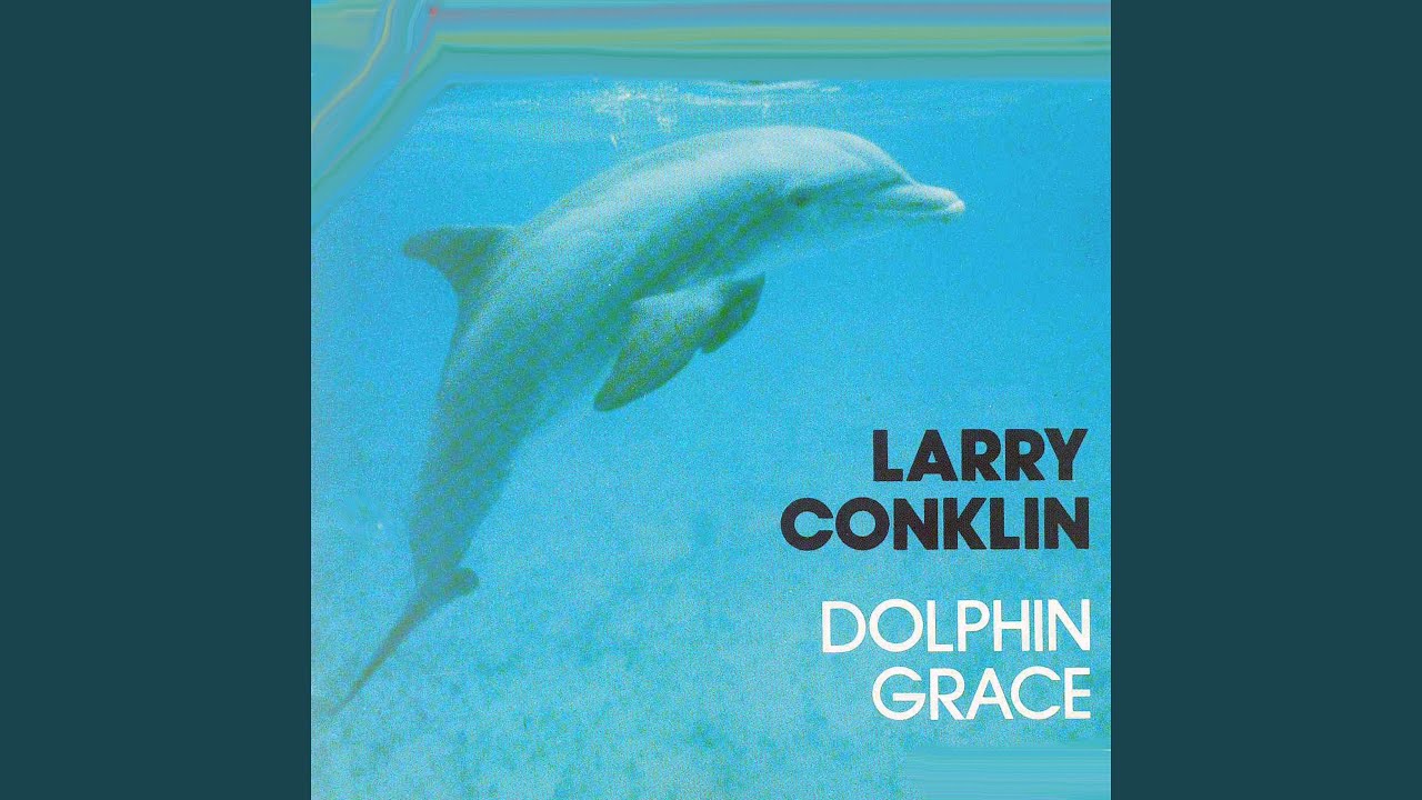 Dolphin Grace - YouTube