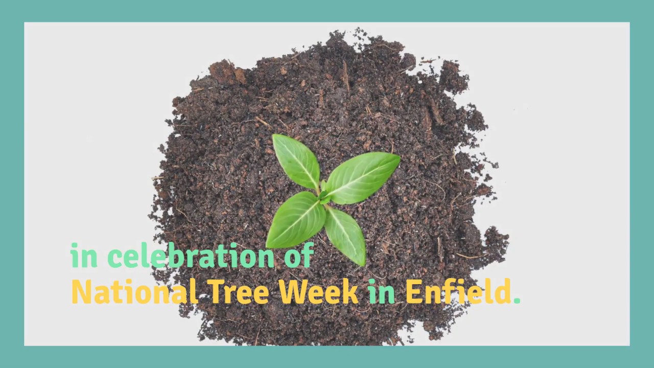 Volunteers needed for Tree Planting in Enfield - YouTube