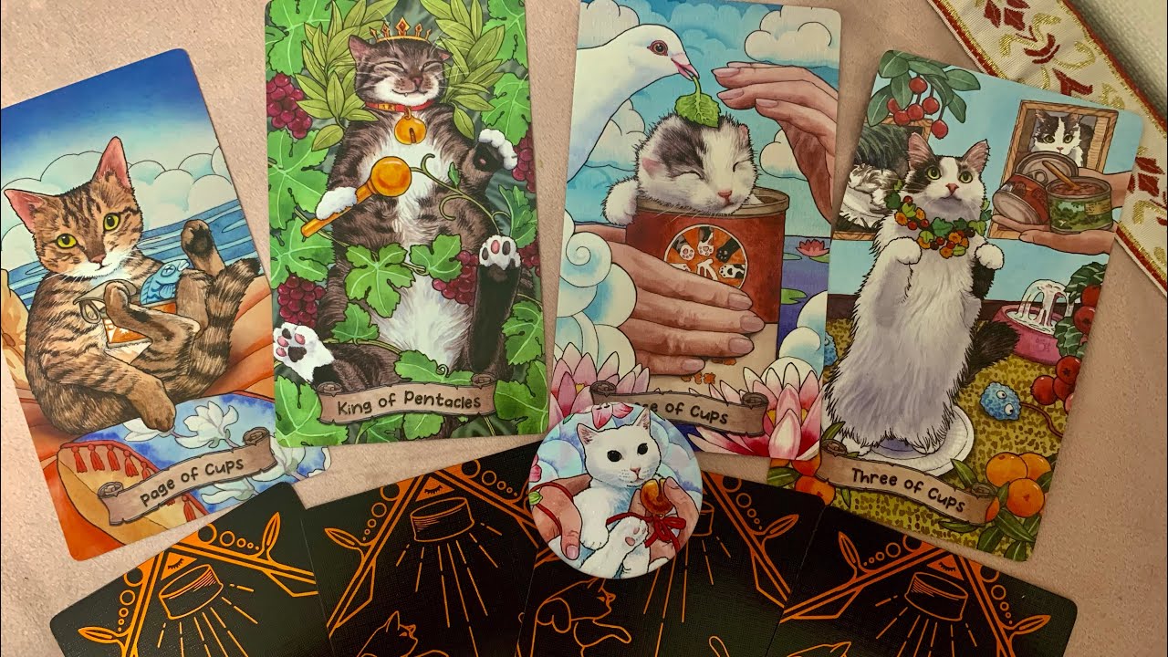 Новинка от Tevada !😻😸Распаковка и обзор колоды «Save Cats Tarot»😻 ...