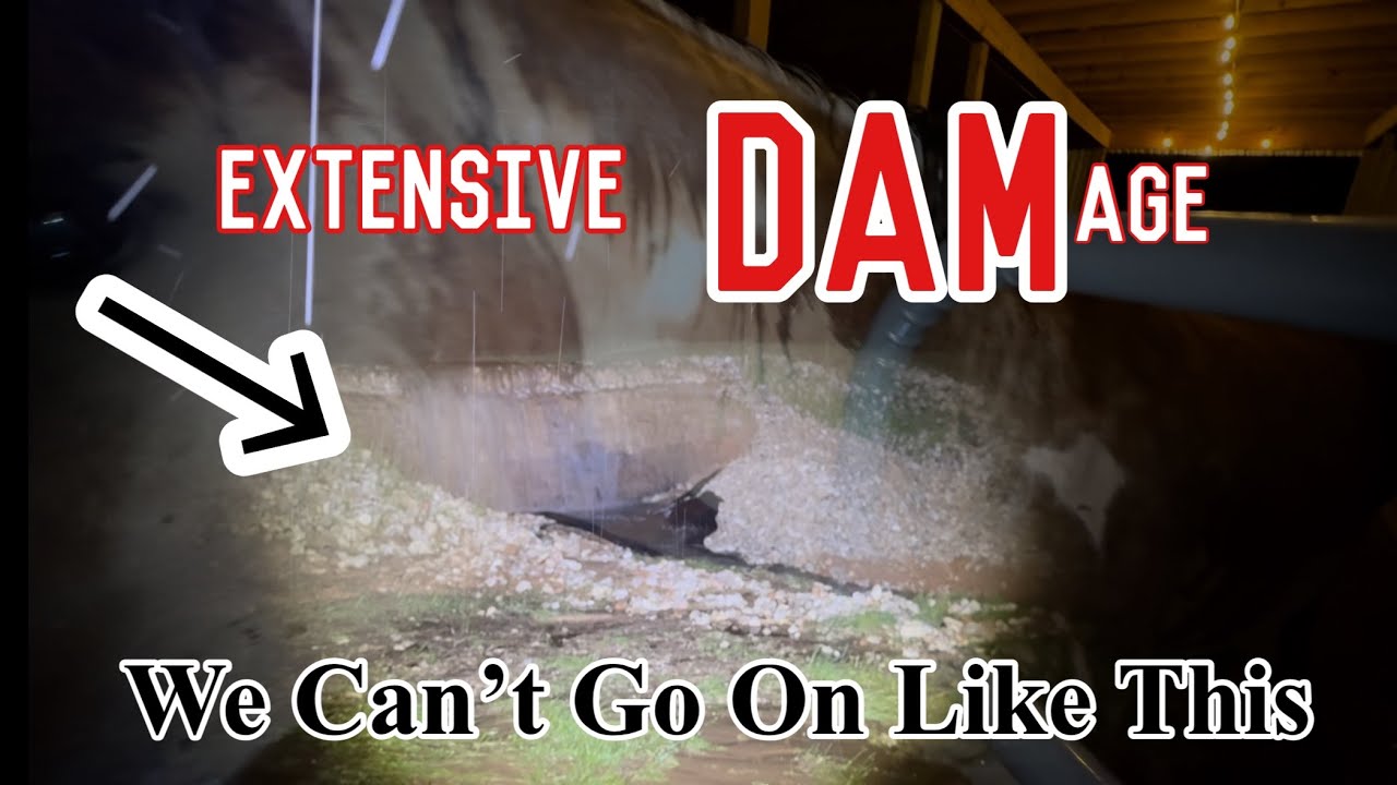 Farm Animals Endure Torrential Rain and Flood | Dam Failure | Texas ...