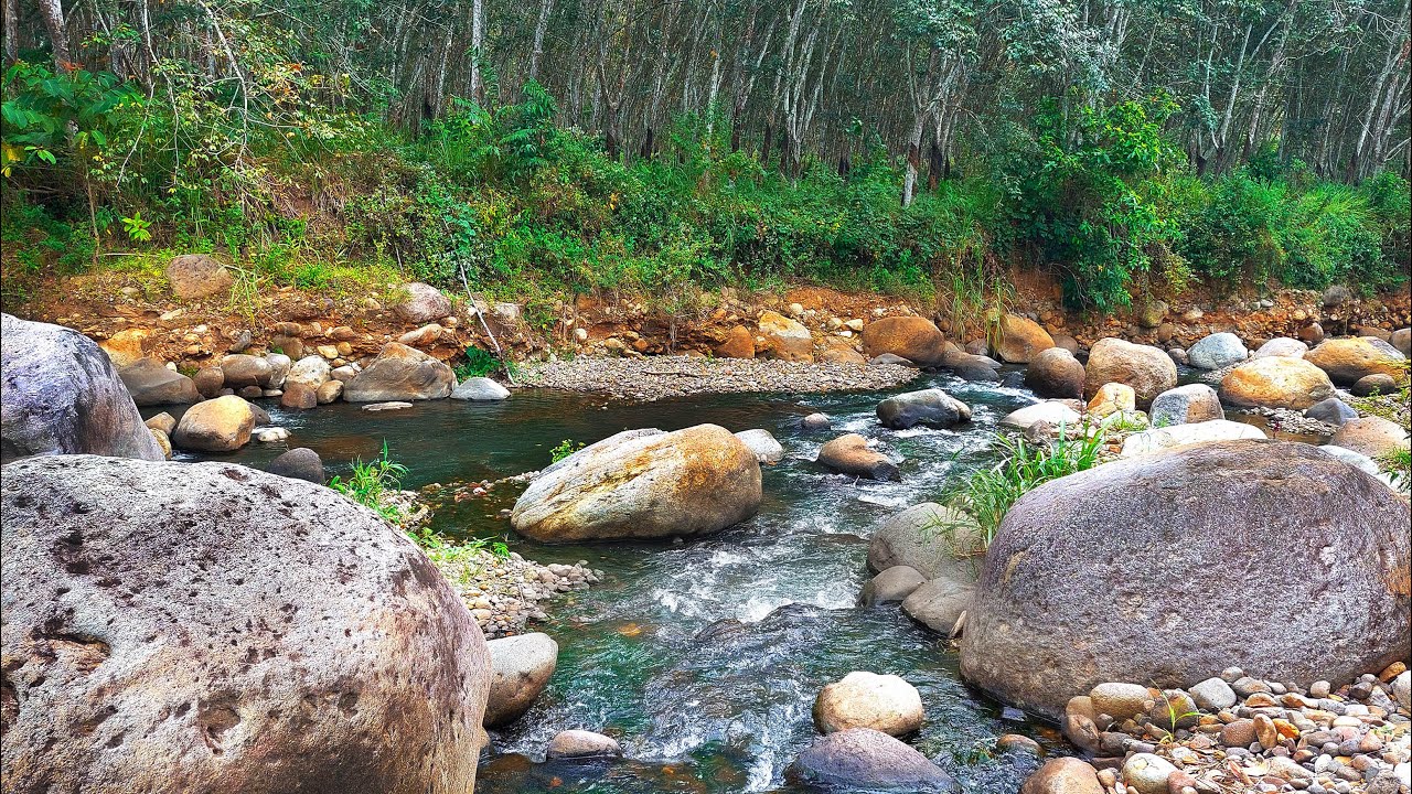 Relaxing River Sounds With Tranquil Nature Environment To Relieve ...