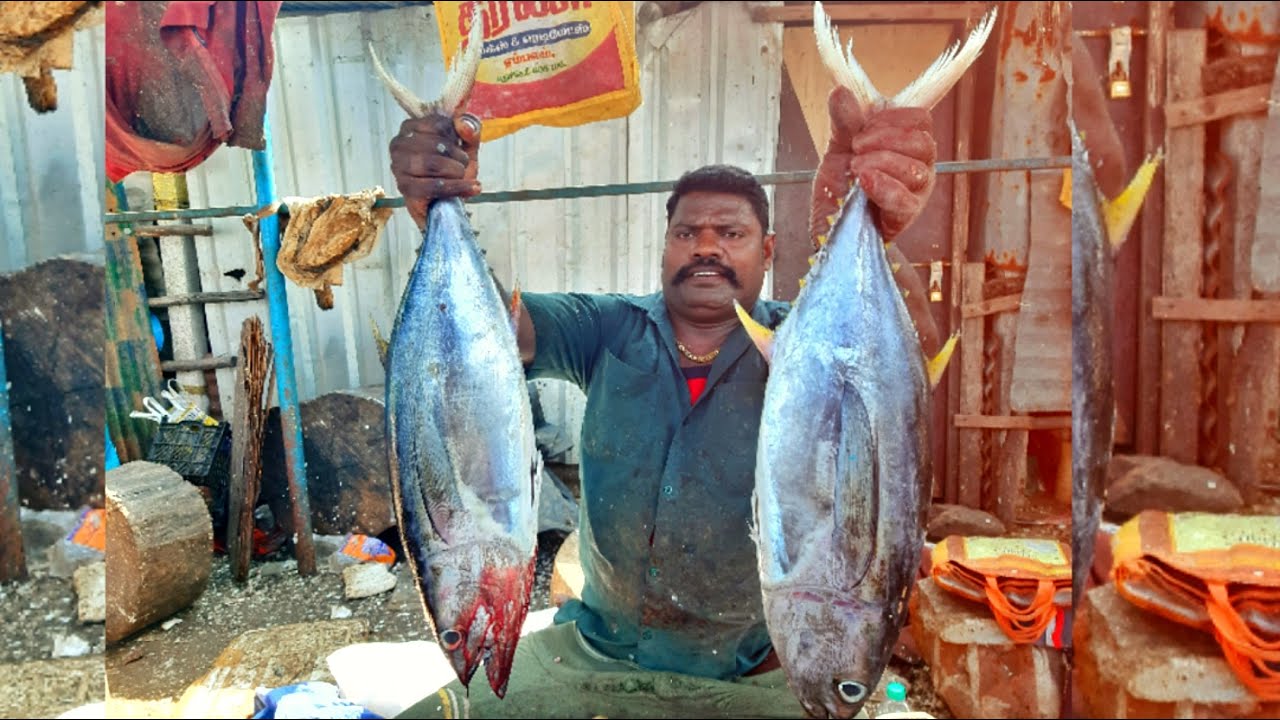 SELVAM || KERAI MEEN || FRESH FISH || BONELESS CUBE CUTTING SLICES # ...