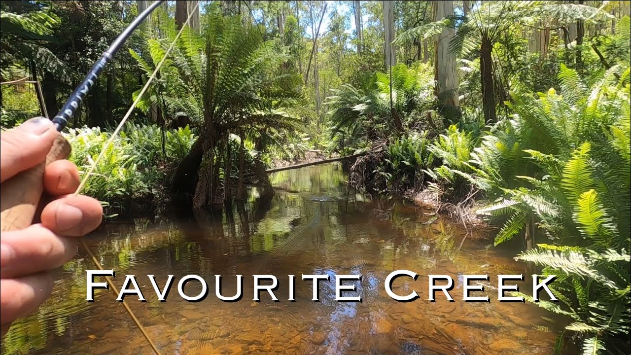 FLY FISHING BAW BAW - YouTube