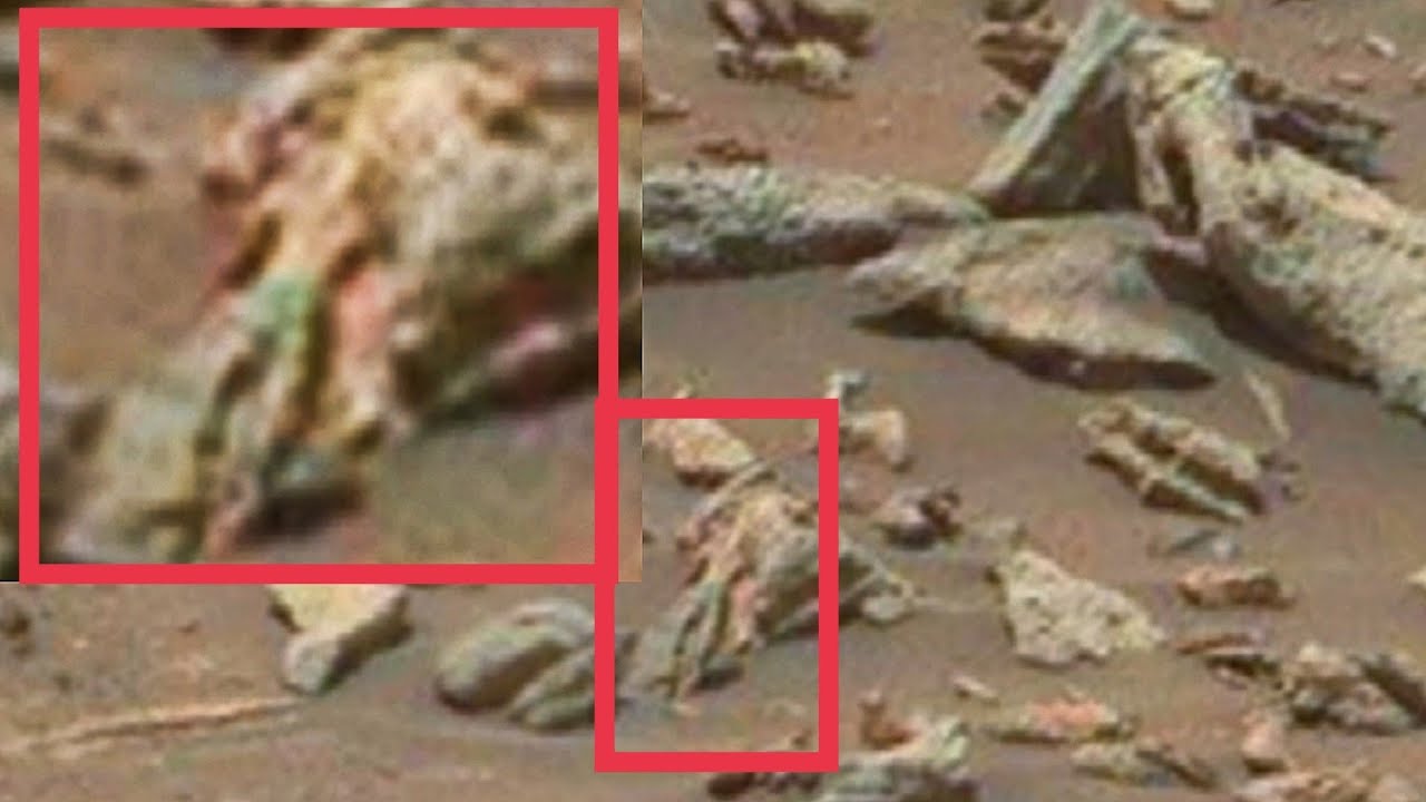 The Curiosity Rover Spotted Human Body on Red Planet - 1452-1454 Mars ...
