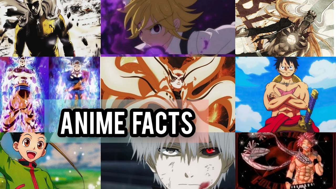 interesting anime facts you'll like to know - YouTube
